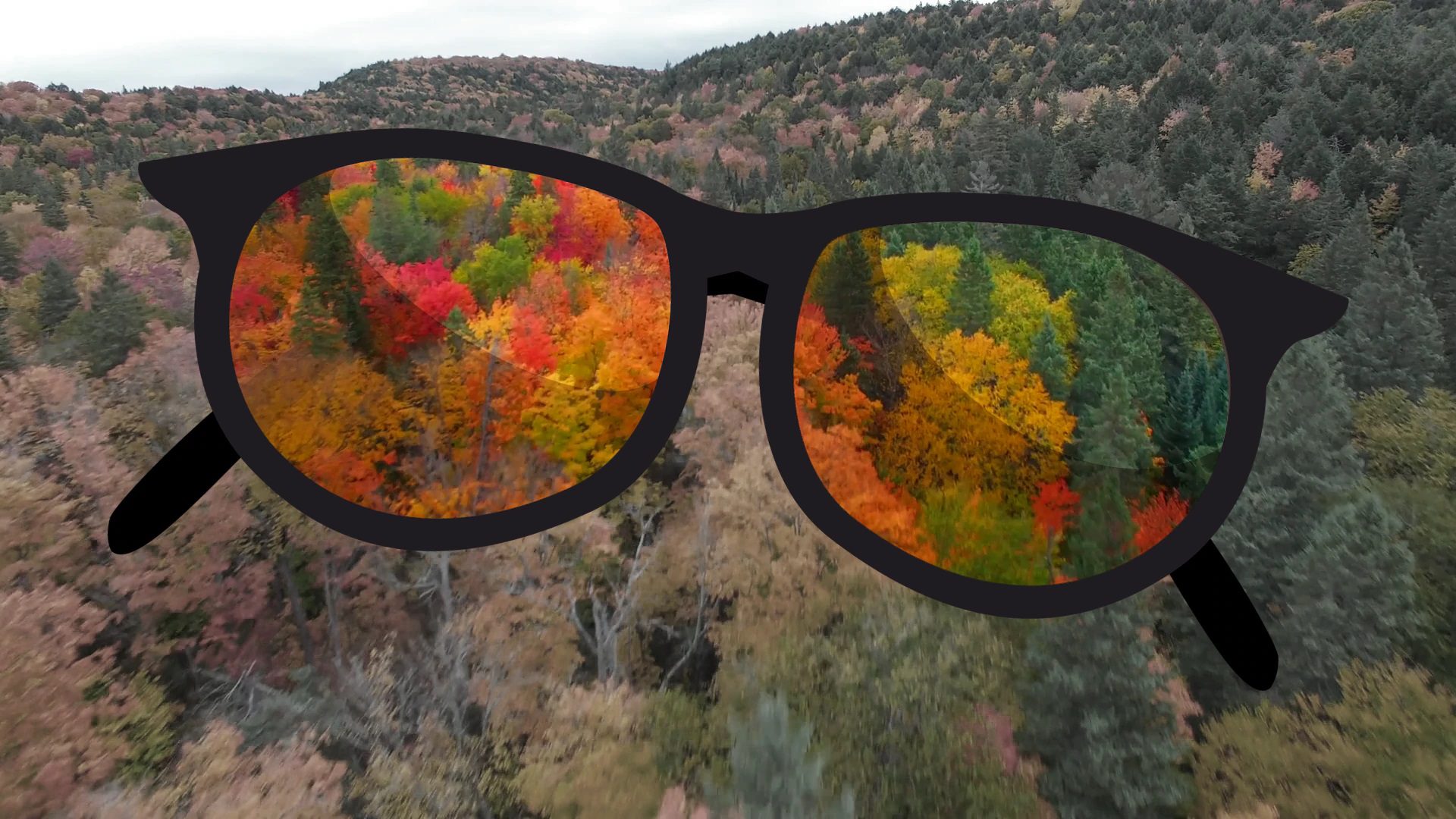 Color Blindness Glasses: How They Work and Their Cost in 2026