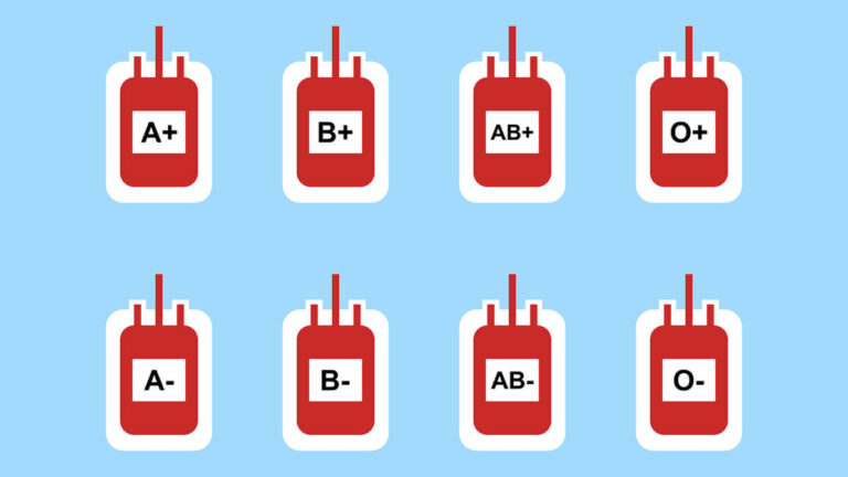 Blood Types: ABO System, Compatibility, and Rare Blood Groups Explained