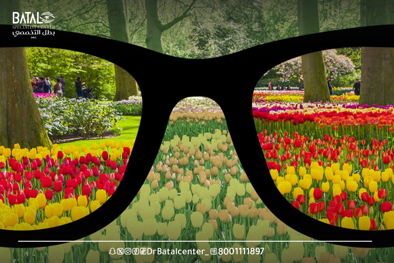 Colorblind Glasses: Types, Benefits, and Prices – Complete Guide from ...